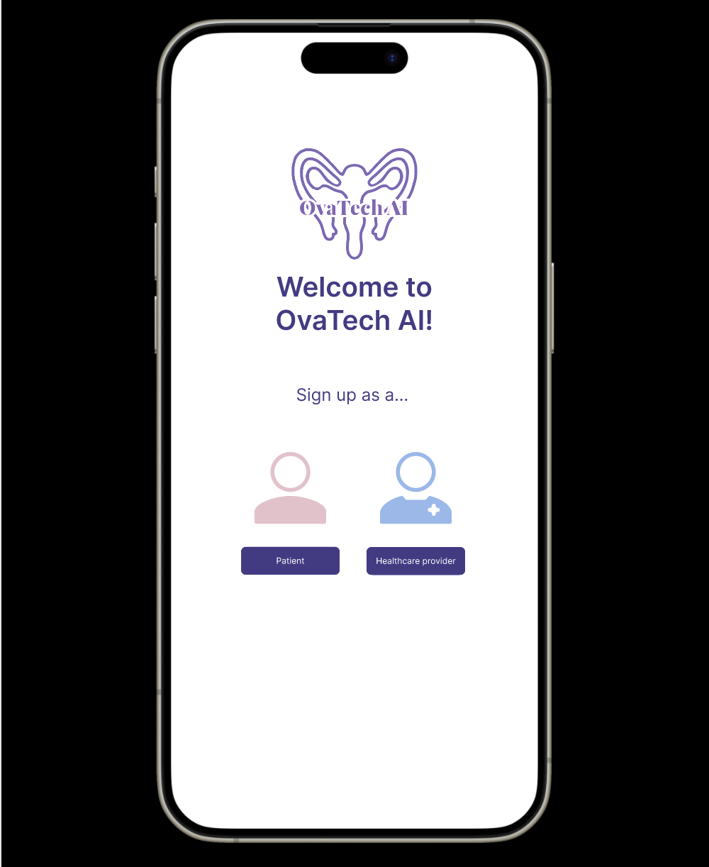 Chloe Zandberg's Portfolio